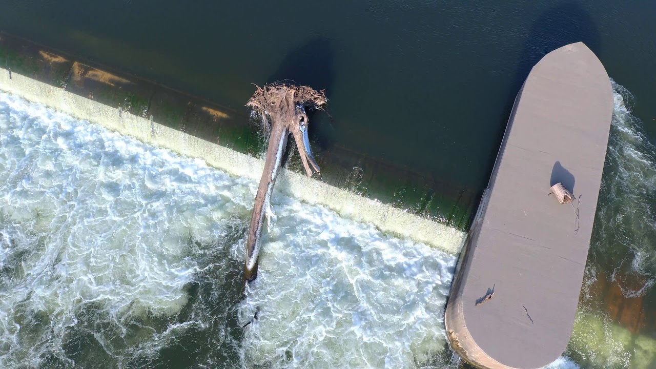Tree in dam Waterloo Iowa - YouTube