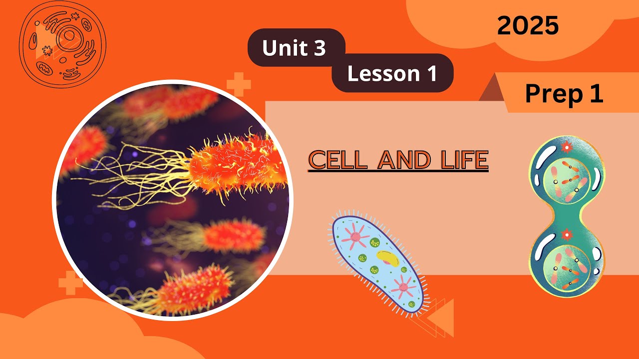 Science Prep 1 : Unit 3: Lesson 1 : Cell and Life - YouTube
