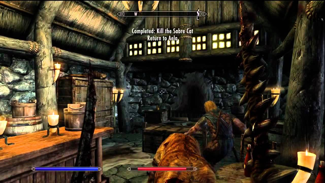 Animal Extermination - Companions Guild Live Playthrough #5 - Skyrim ...