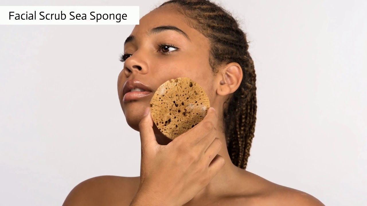 My Bahamas Sponge - YouTube