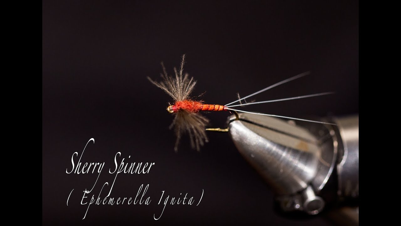 Sherry Spinner - YouTube