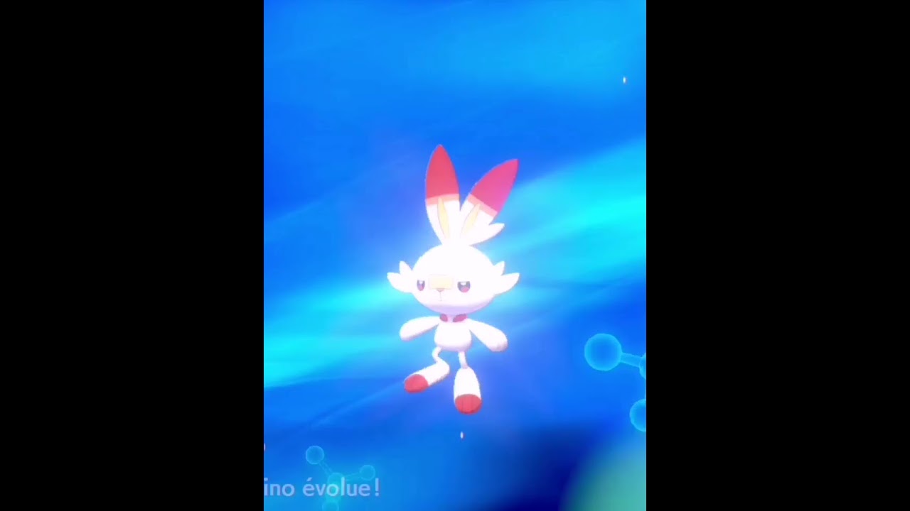 Évolution Flambino En Pyrobut Pokémon Bouclier - YouTube