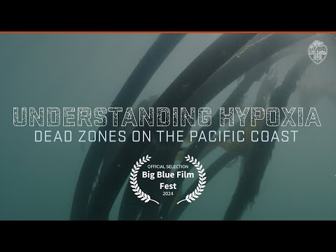 What Are Dead Zones From Global Warming