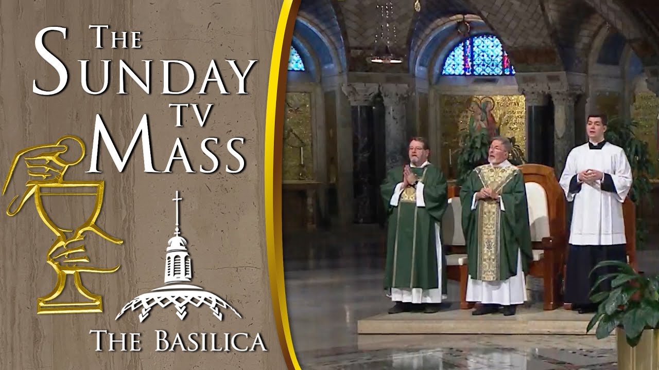 The Sunday Mass — November 16, 2025 — 33rd Sunday in Ordinary Time CC ...