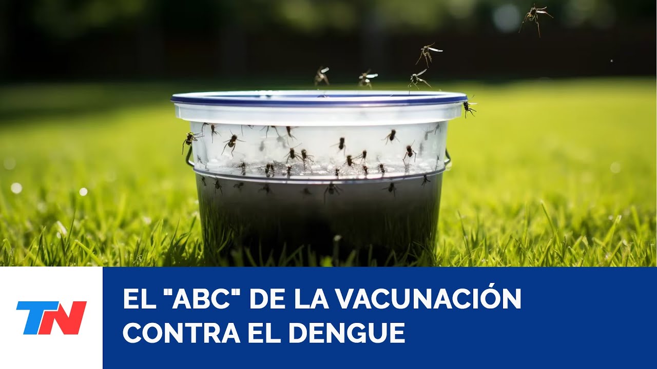 EL "ABC" DE LA VACUNACION CONTRA EL DENGUE - YouTube