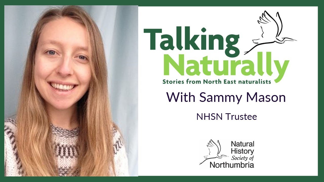 Talking Naturally with Sammy Mason - YouTube