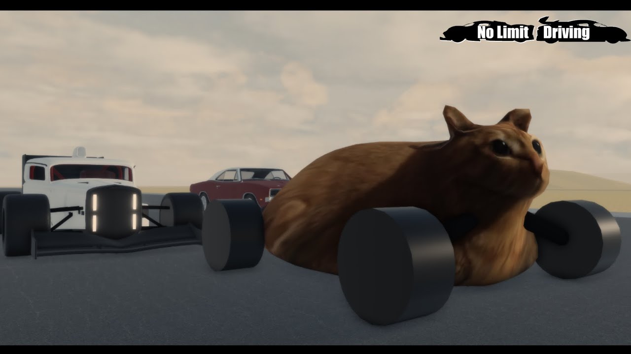 No Limit Driving | the legendary Cat Car Edit - YouTube