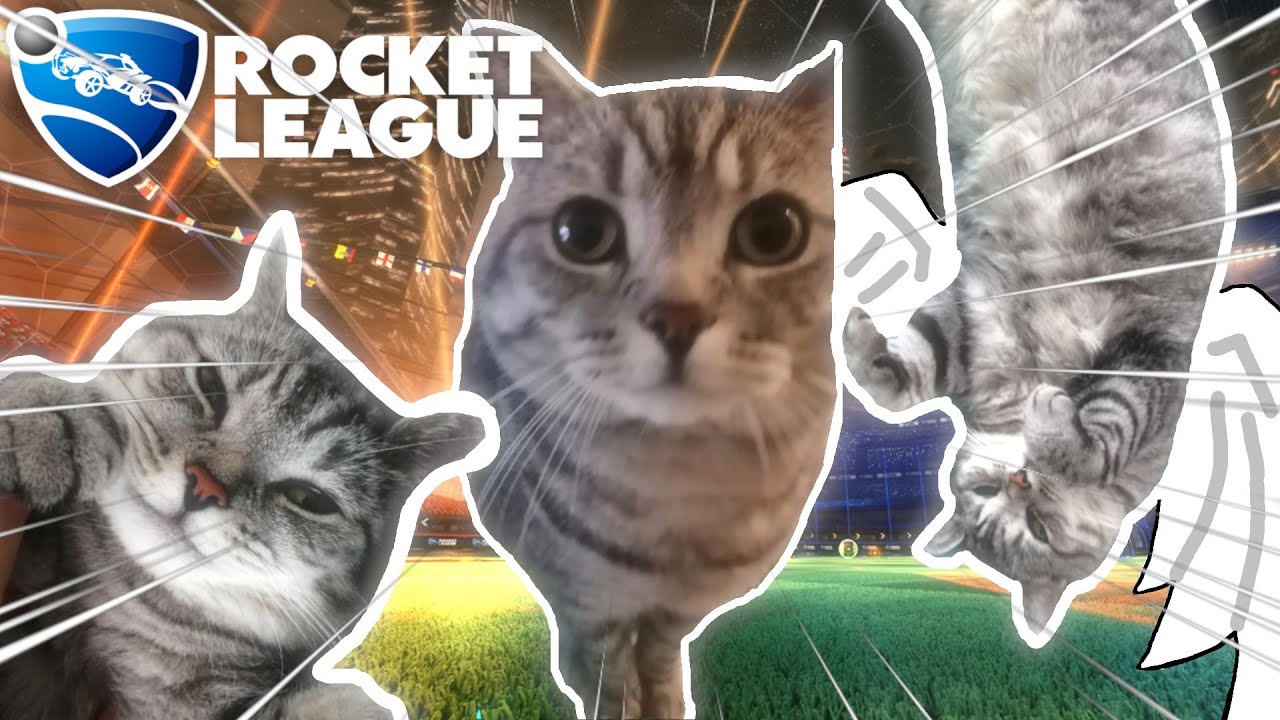 KATZEN League | Rocket League deutsch Season 2 - YouTube
