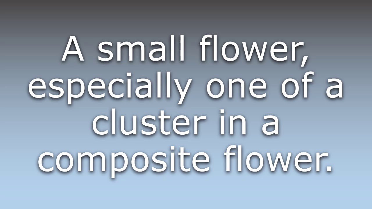 What does Floret mean? - YouTube