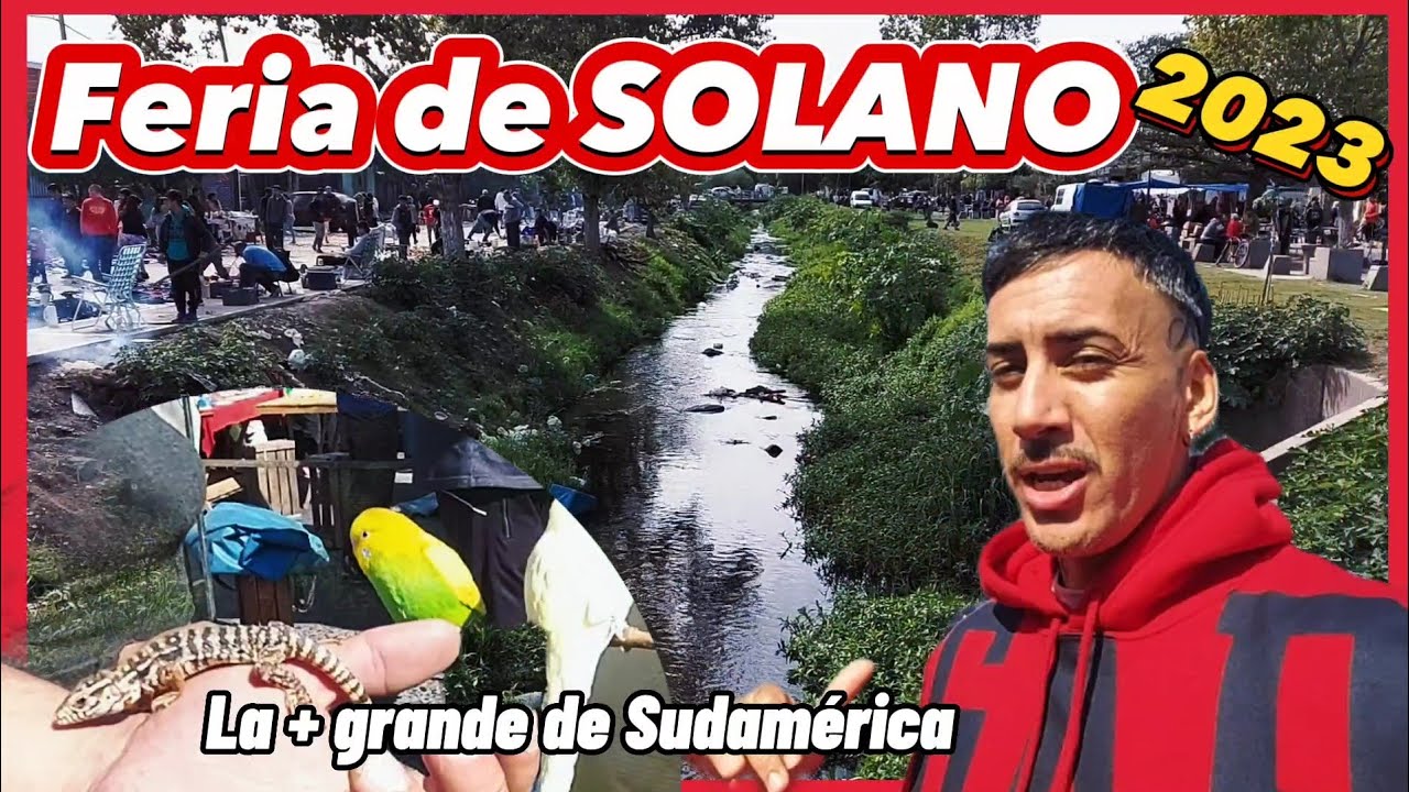FERIA DE SOLANO, lo más Random que viví. - YouTube