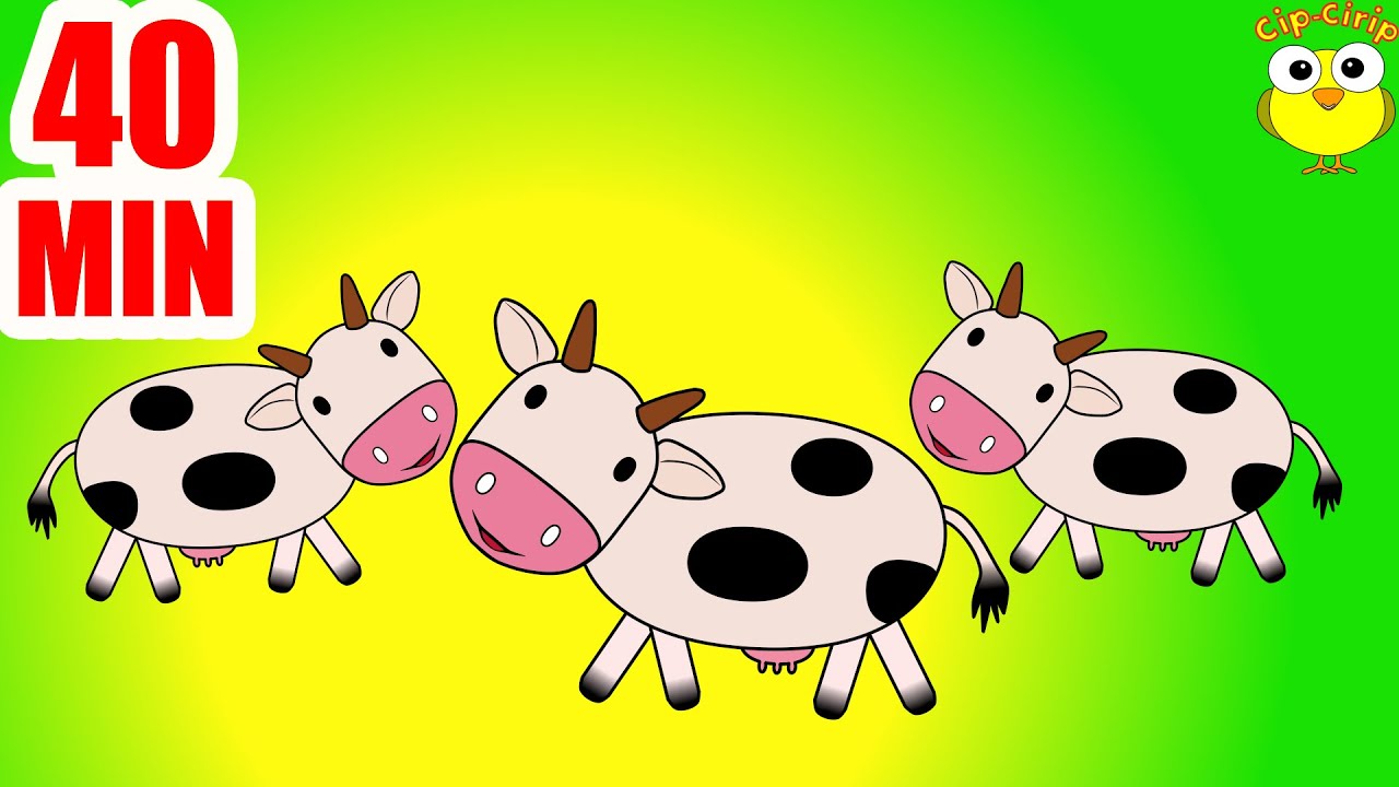 Trei vacute jucause - Cantece pentru copii (desene animate) | Cip-Cirip ...