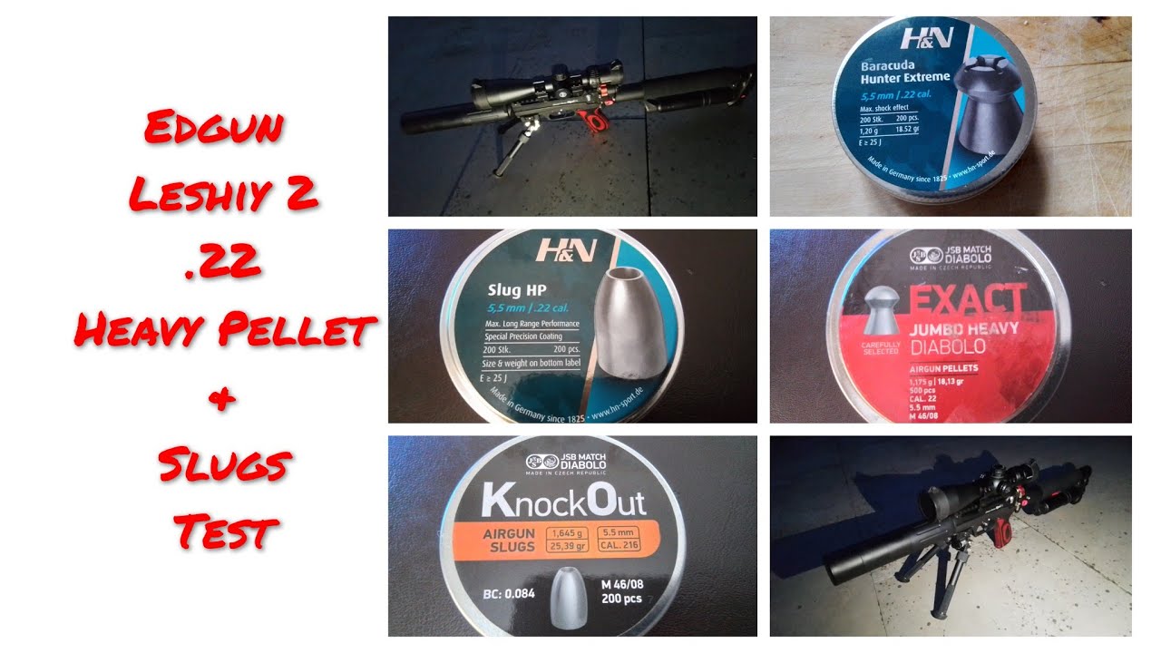 Edgun Leshiy 2 - .22 Heavy Pellet and Slug Test - YouTube