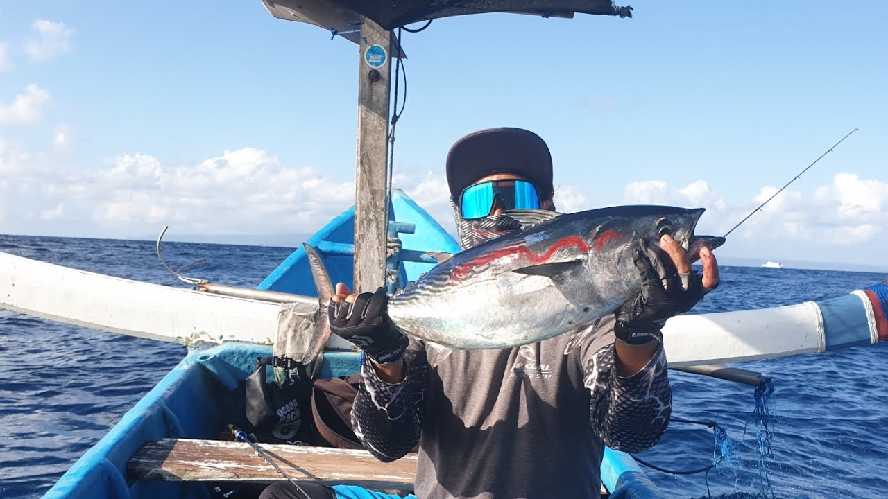 Double Strike Skip Jack Tuna - YouTube