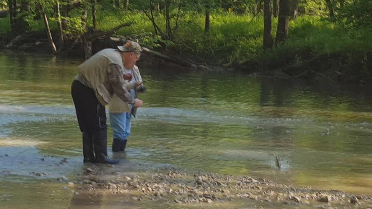 White Bass Fishing in Deer Creek Ohio - May 13th 2016 - YouTube