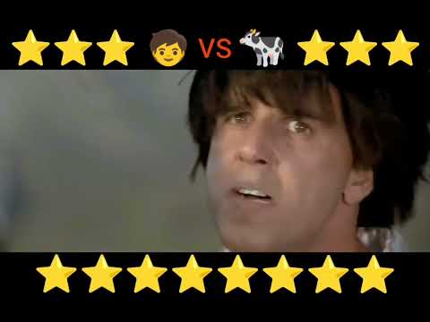 👦Kareteci adam VS Kareteci inek🐄.