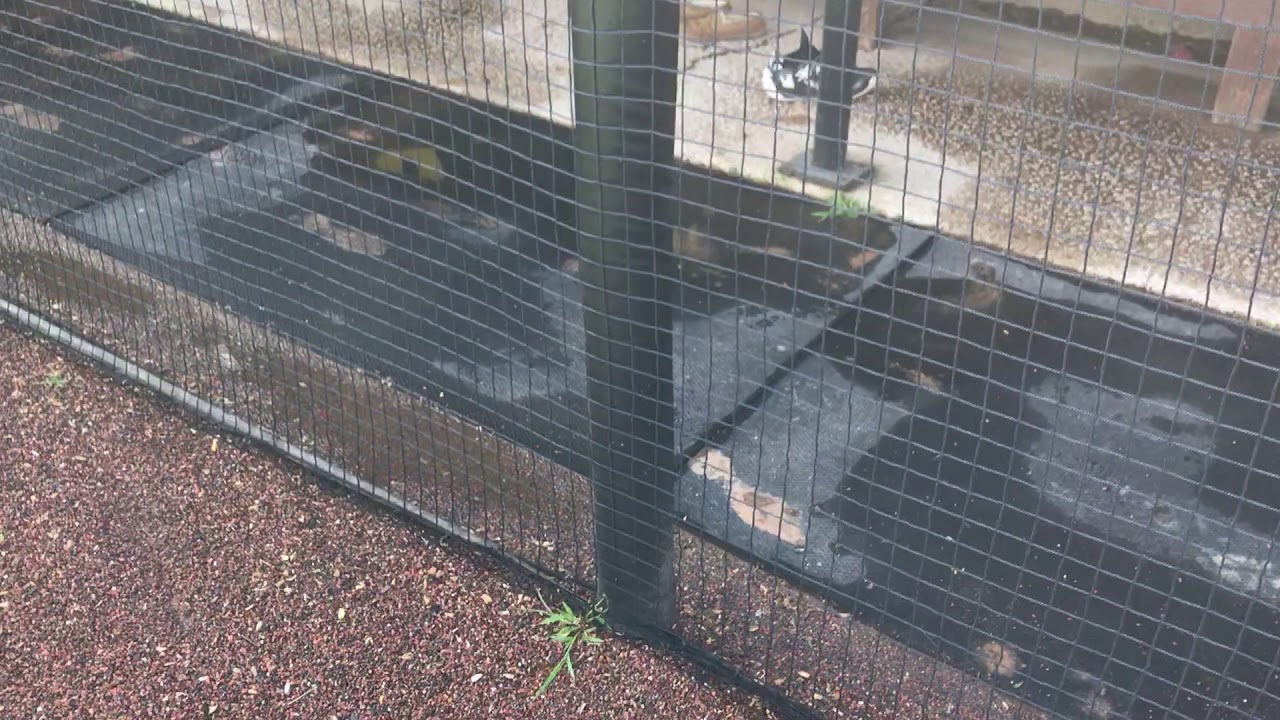 Dugout Rail Pad - YouTube