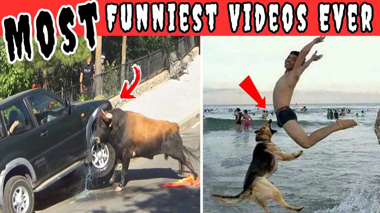 20 MOST FUNNIEST VIDEOS EVER CAUGHT ON CAMERA - YouTube
