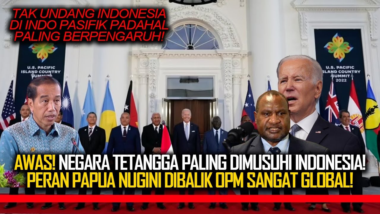 INDONESIA BAKAL TANTANG PERANG? PERAN PAPUA NUGINI DIBALIK OPM KKB ...