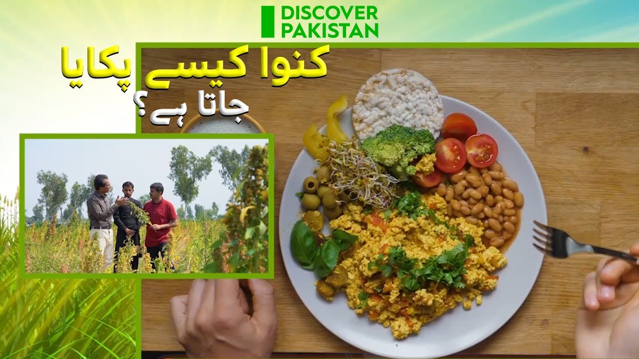How is Quinoa cooked? | Easy Recipe | Discover Pakistan Tv - YouTube