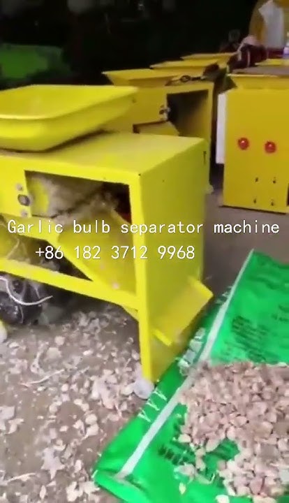 cheap price garlic bulb breaker garlic clove separator garlic cracking splitting machine - YouTube