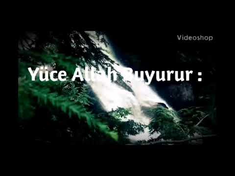 3- EY İNSAN OĞLU . SAKLI SÖZLER *Hz. BAHAULLAH* \