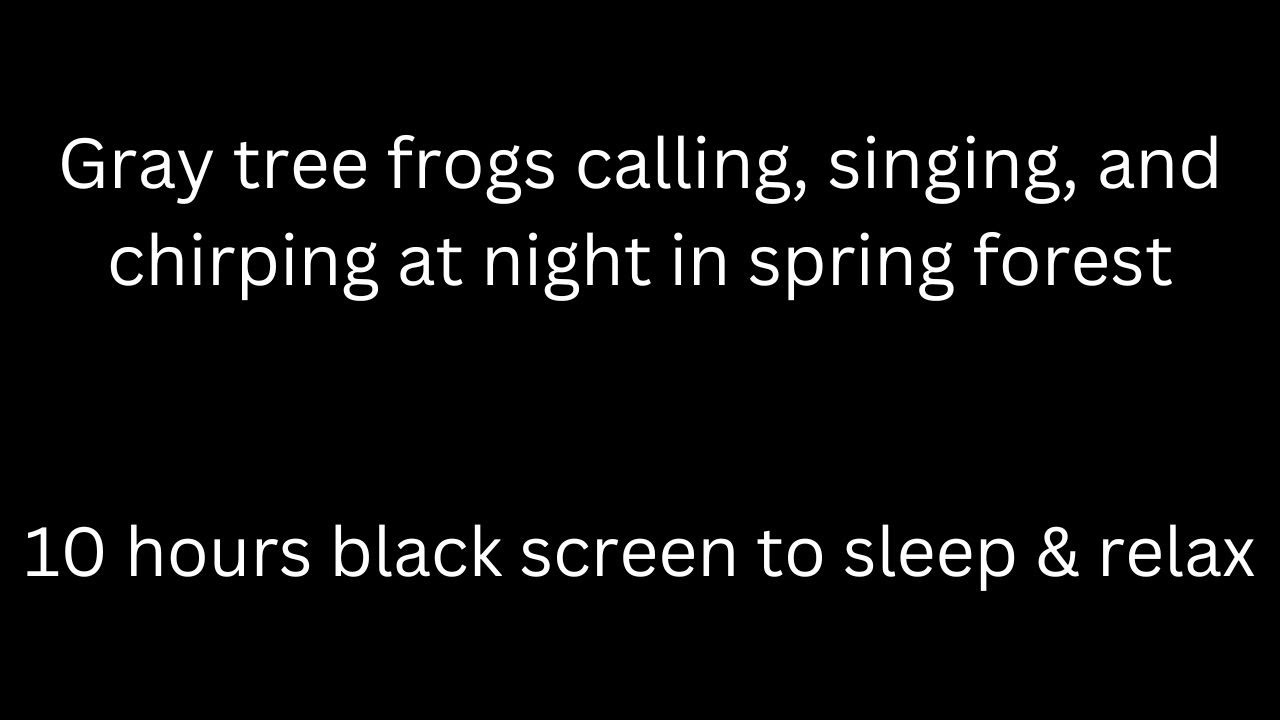 Many gray tree frogs chirp & sing in forest frog sounds tinnitus relief ...
