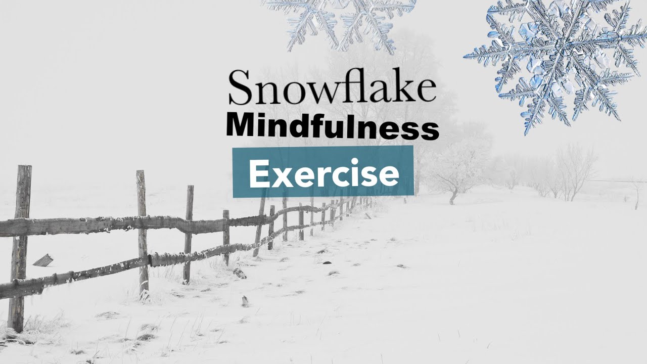Falling snowflake meditation - YouTube