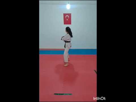 taekwondo kırmızı kuşak poomse profesyonel değildir öğrenim amaçlıdır