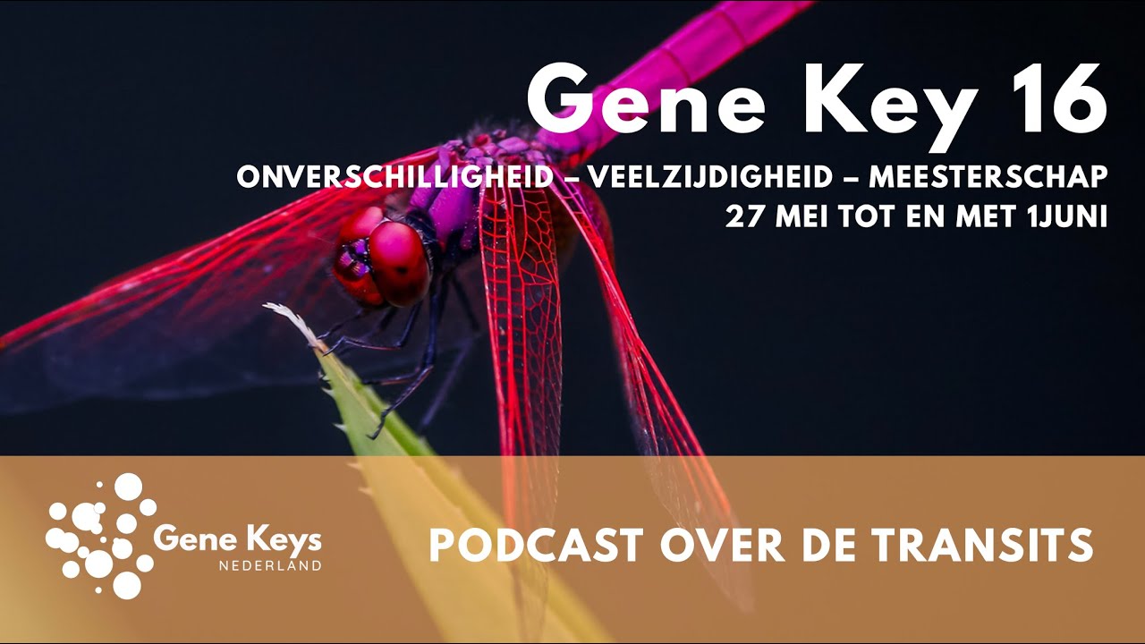 Podcast Gene Key 16 - YouTube