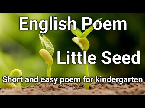 English Poem || little seed || short and easy english poem for kids ...