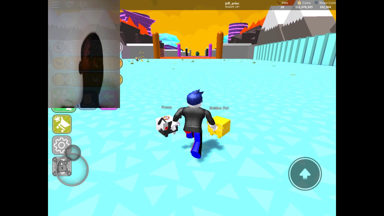 Playing pet simulator and really easy obby on roblox - YouTube