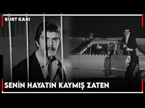 Kurt Kanı | Soyguncular Suçu Osman'ın Üzerine Yıkar