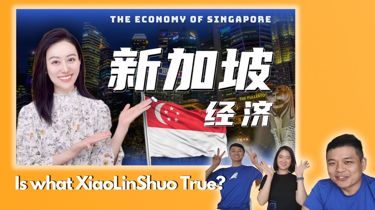 Is What Xiao Lin Shuo Says About Singapore True? | 小Lin说 对新加坡的分析，准确吗 ...