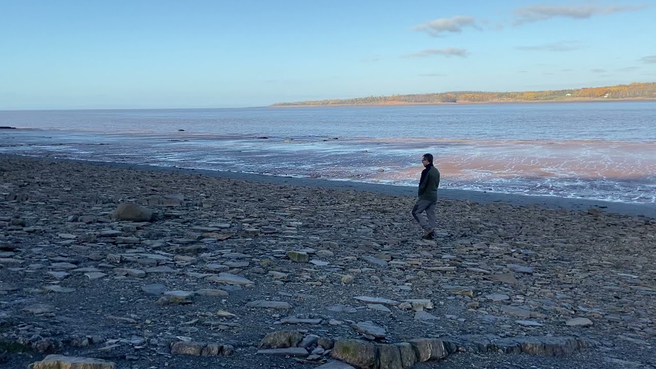 Dinosaur fossils Blue Beach, Nova Scotia. Dinosaur fossils & sea shells ...