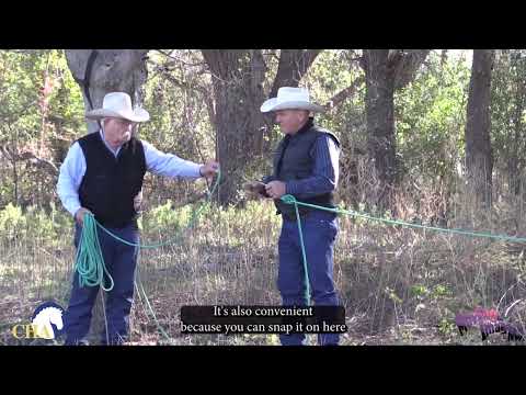 Highlining with Fred Bruce and Stan Loewen - YouTube