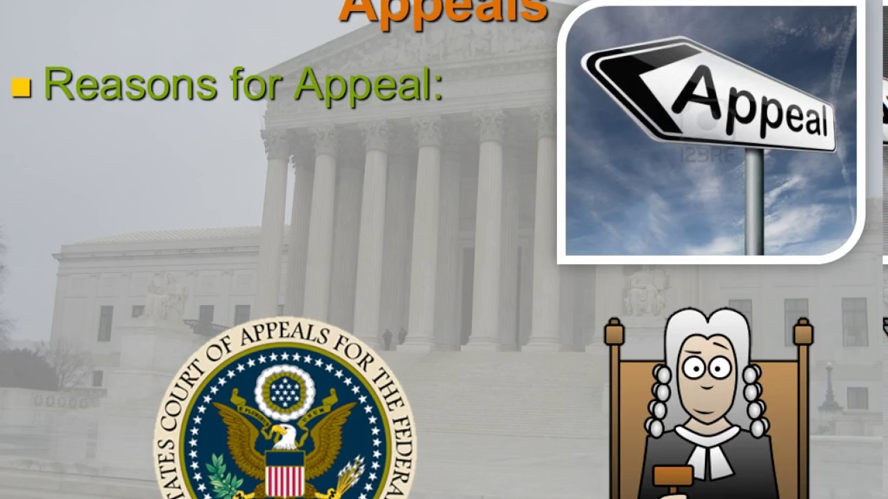 Types of Courts Dual Court System EdPuzzle - YouTube