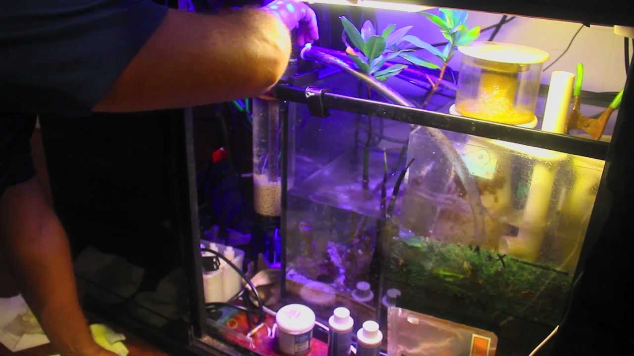 Phosban Reactor tips - YouTube