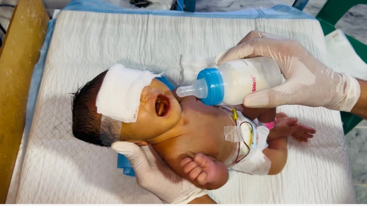 NNJ Baby in NICU Care | Feeding Trial | Cute Little Fighter 🍼💖 #nnjbaby ...