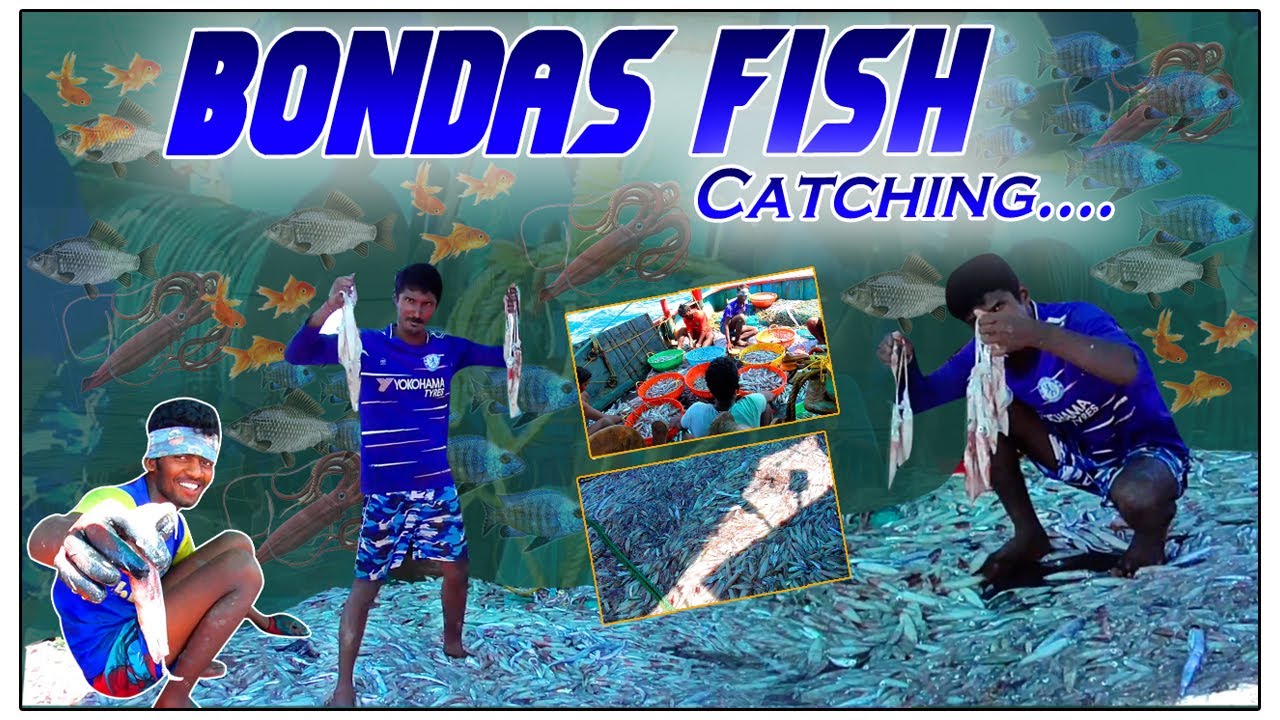Bondas Fish Catching // Black Star Prakash - YouTube