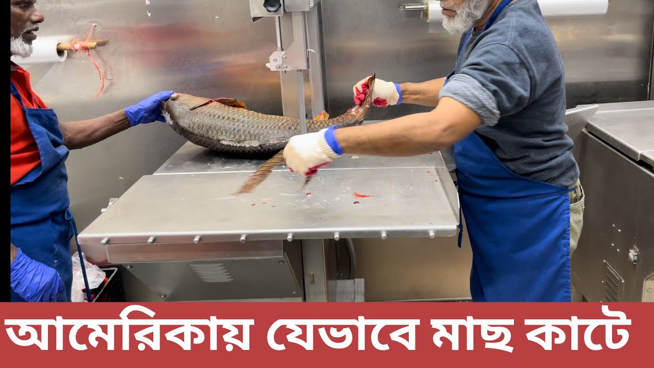 How to cut fish in America॥ মাছ কাটার দৃশ্য - YouTube
