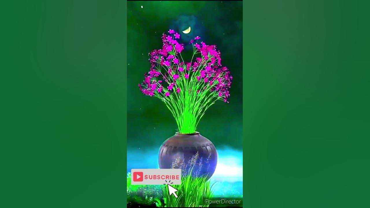 Most Famous Magic funny magicalcooking funnyanimation most-famous-magic-funny-magicalcooking-funnyanimation