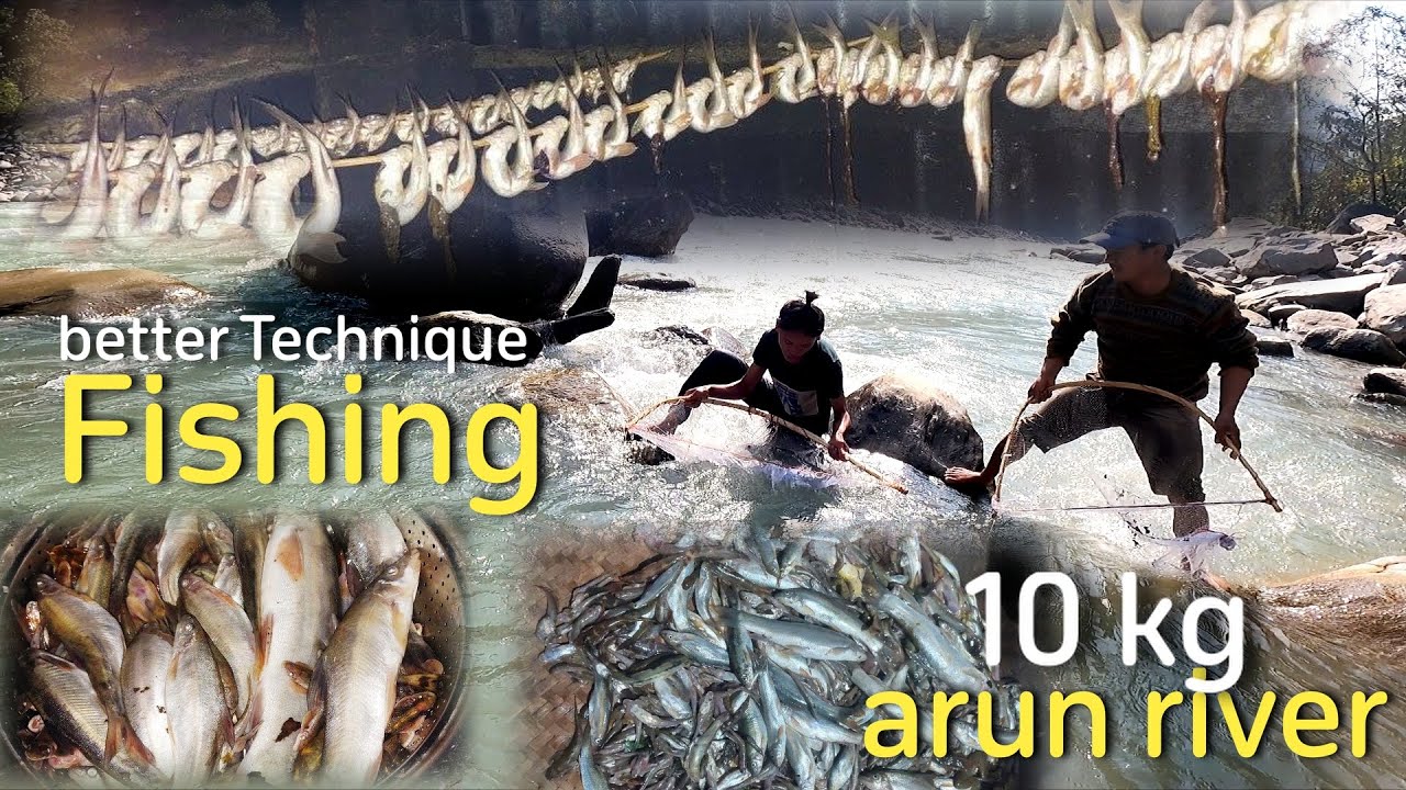 Kavre Asala and Tite fishing in Nepal (snow Trout) - YouTube