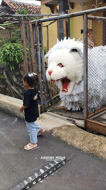 Alika keluarin can macanan dari kandang - YouTube