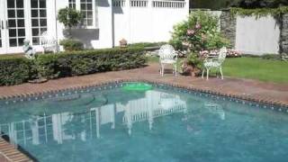 Aqua Deck Pool Patio