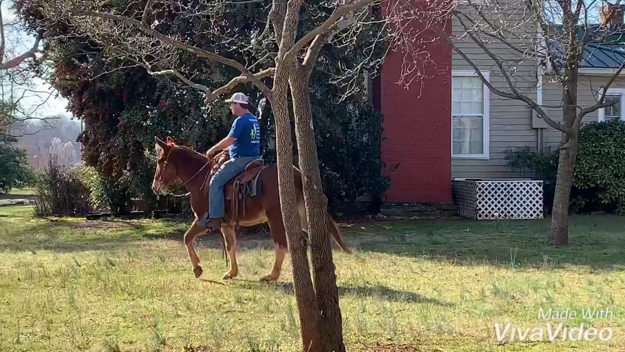 Luke March 2019 - YouTube