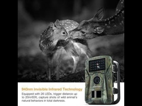Game Camera For Security - you can access tons of Cheap Game Camera ...