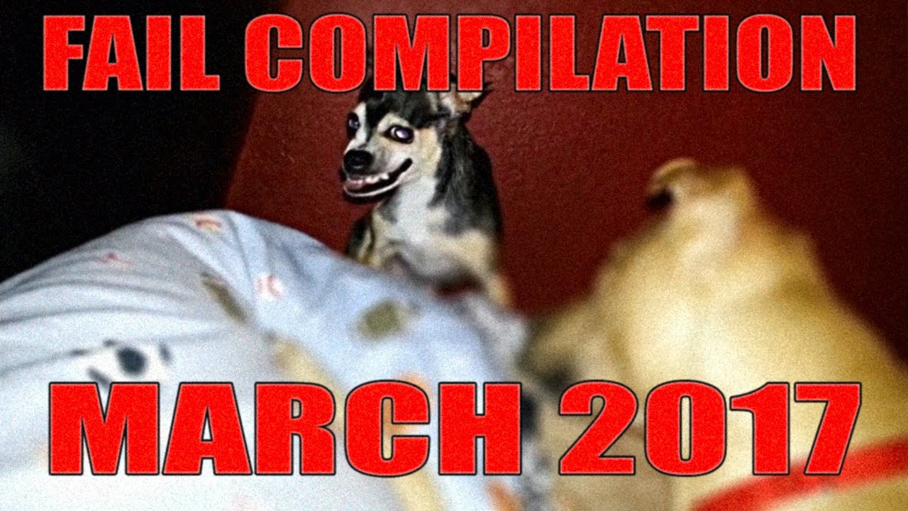FAIL COMPILATION 3 (MAR. 2017) | FAILSQUAD | Funny Fail Compilation - YouTube
