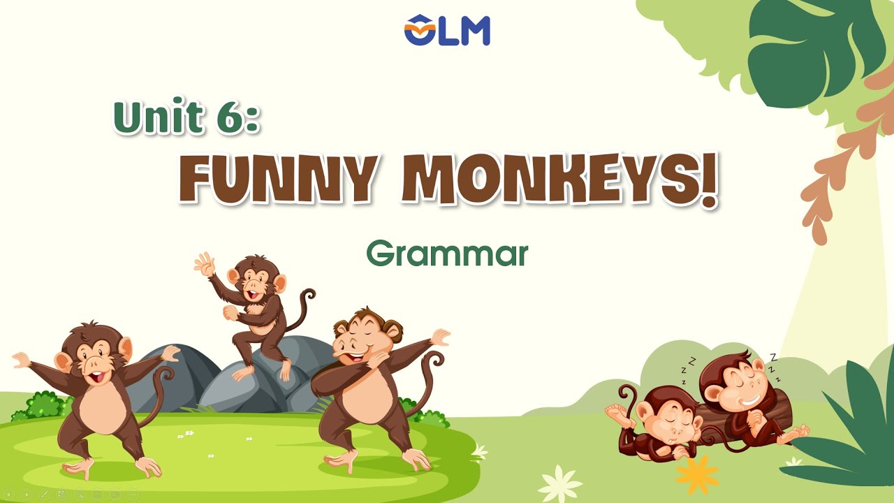 Unit 6: Funny Monkeys! - Grammar - Family and Friends 4 [OLM.VN] - YouTube