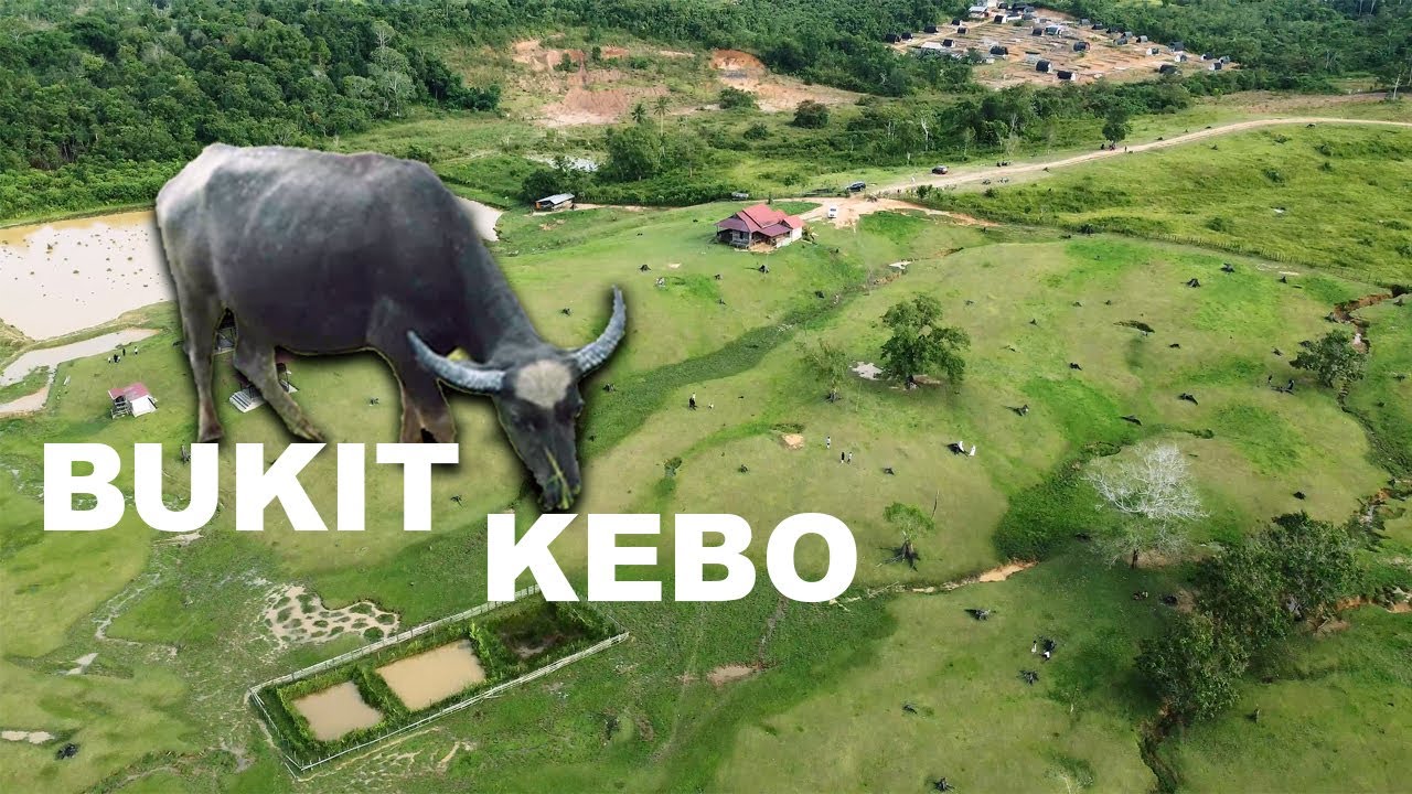 BUKIT KEBO BALIKPAPAN | Drone View 4K - YouTube