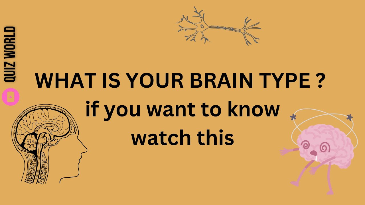 What is your brain type ? - YouTube